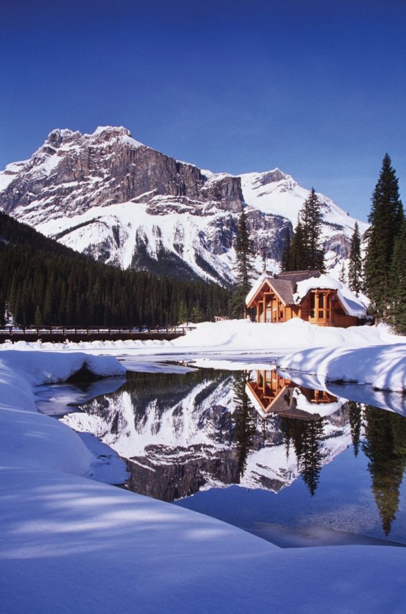 5 Luxurious Cabins in the Woods - Avenue Calgary