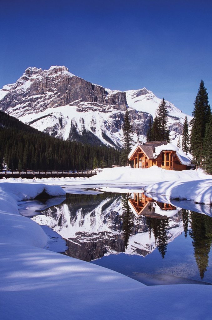 5 Luxurious Cabins in the Woods - Avenue Calgary
