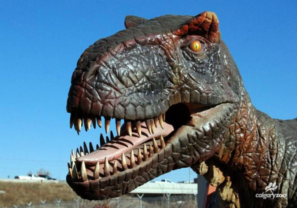 5 Reasons to See Dinosaurs Alive - Avenue Calgary