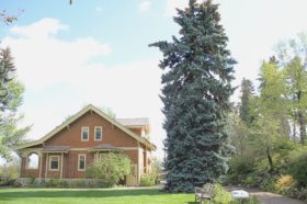 The Story of Reader Rock Garden - Avenue Calgary