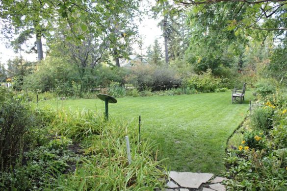 The Story of Reader Rock Garden - Avenue Calgary