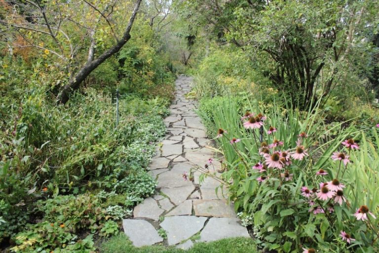 The Story of Reader Rock Garden - Avenue Calgary