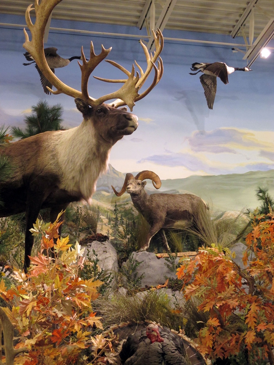 Cabela's Opens in Calgary - Avenue Calgary