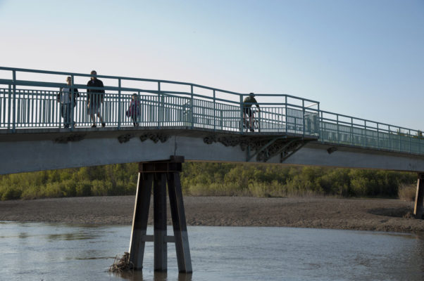 Exploring Calgary's Parks: Weaselhead Flats - Avenue Calgary