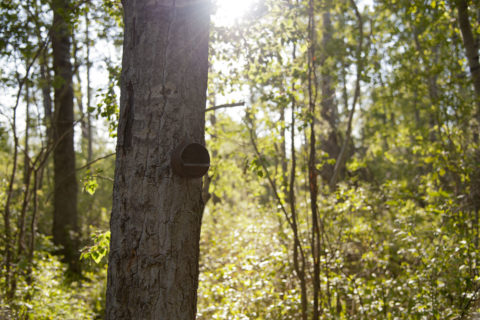 Exploring Calgary's Parks: Weaselhead Flats - Avenue Calgary