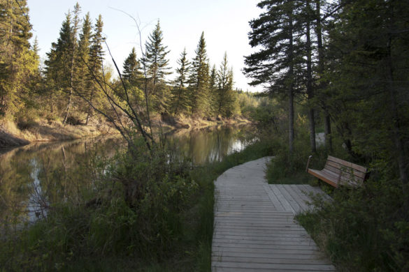 Exploring Calgary's Parks: Weaselhead Flats - Avenue Calgary
