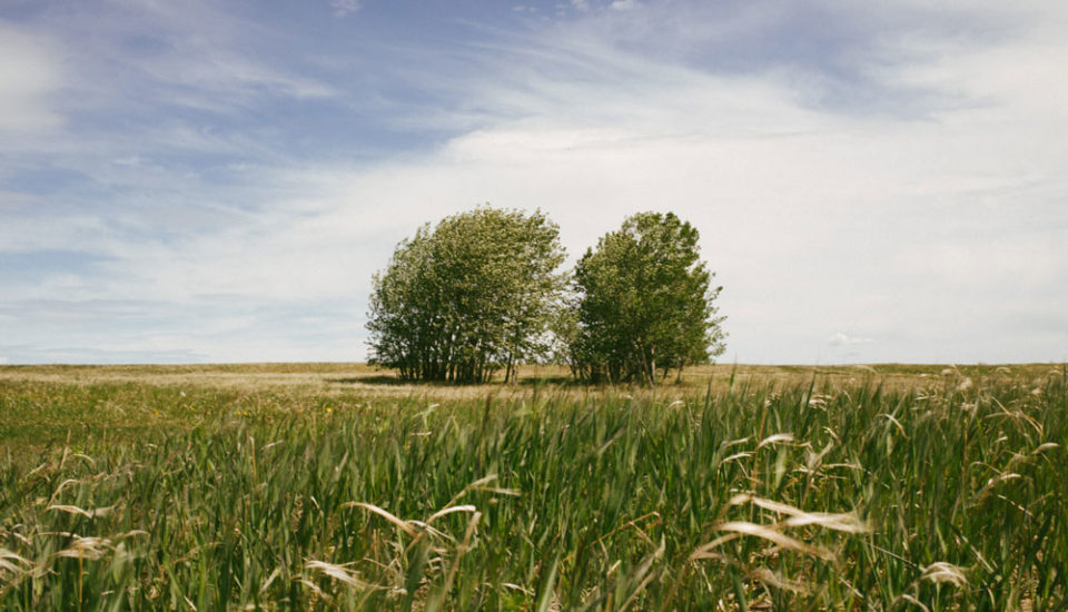 Calgary's Top 12 Neighbourhoods - Avenue Calgary Calgary's Top 12 Neighbourhoods - Avenue Calgary