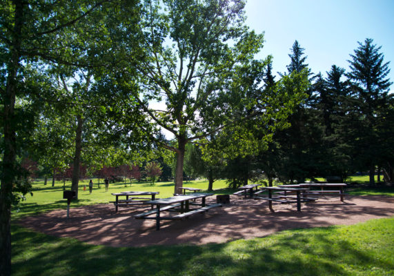 Exploring Calgary's Parks: Edworthy Park - Avenue Calgary