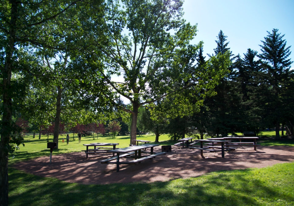 Exploring Calgary's Parks: Edworthy Park - Avenue Calgary