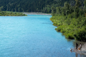 Exploring Calgary's Parks: Edworthy Park - Avenue Calgary