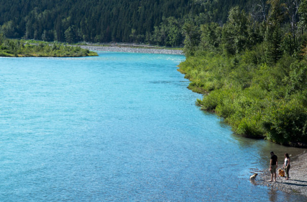 Exploring Calgary's Parks: Edworthy Park - Avenue Calgary