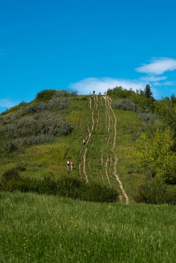 Exploring Calgary's Parks: Edworthy Park - Avenue Calgary