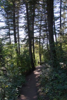 Exploring Calgary's Parks: Edworthy Park - Avenue Calgary