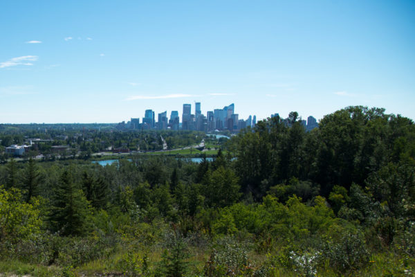 Exploring Calgary's Parks: Edworthy Park - Avenue Calgary