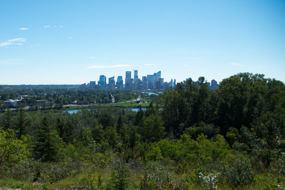 Exploring Calgary's Parks: Edworthy Park - Avenue Calgary