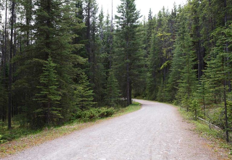 Try This Hike: Spray River Loop in Banff National Park - Avenue Calgary