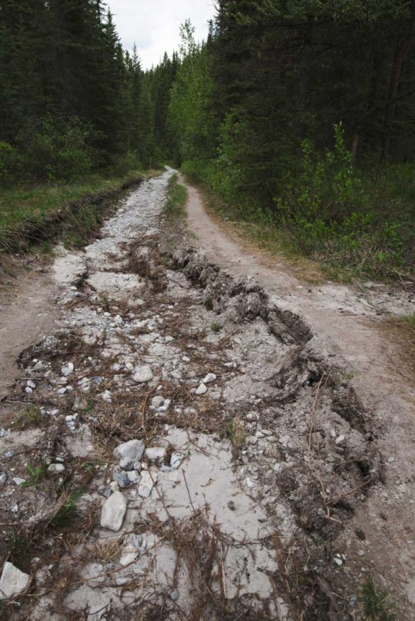 Try This Hike: Spray River Loop in Banff National Park - Avenue Calgary