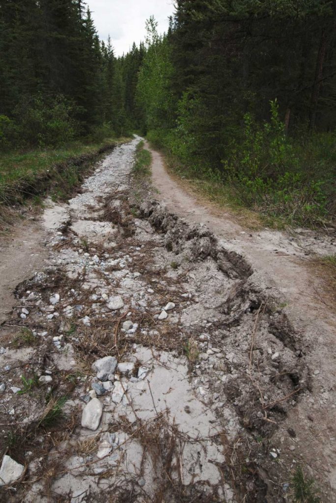 Try This Hike: Spray River Loop in Banff National Park - Avenue Calgary