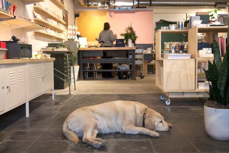 Inglewood's New Stationery Store Recess Shop is Stocked with Pens ...