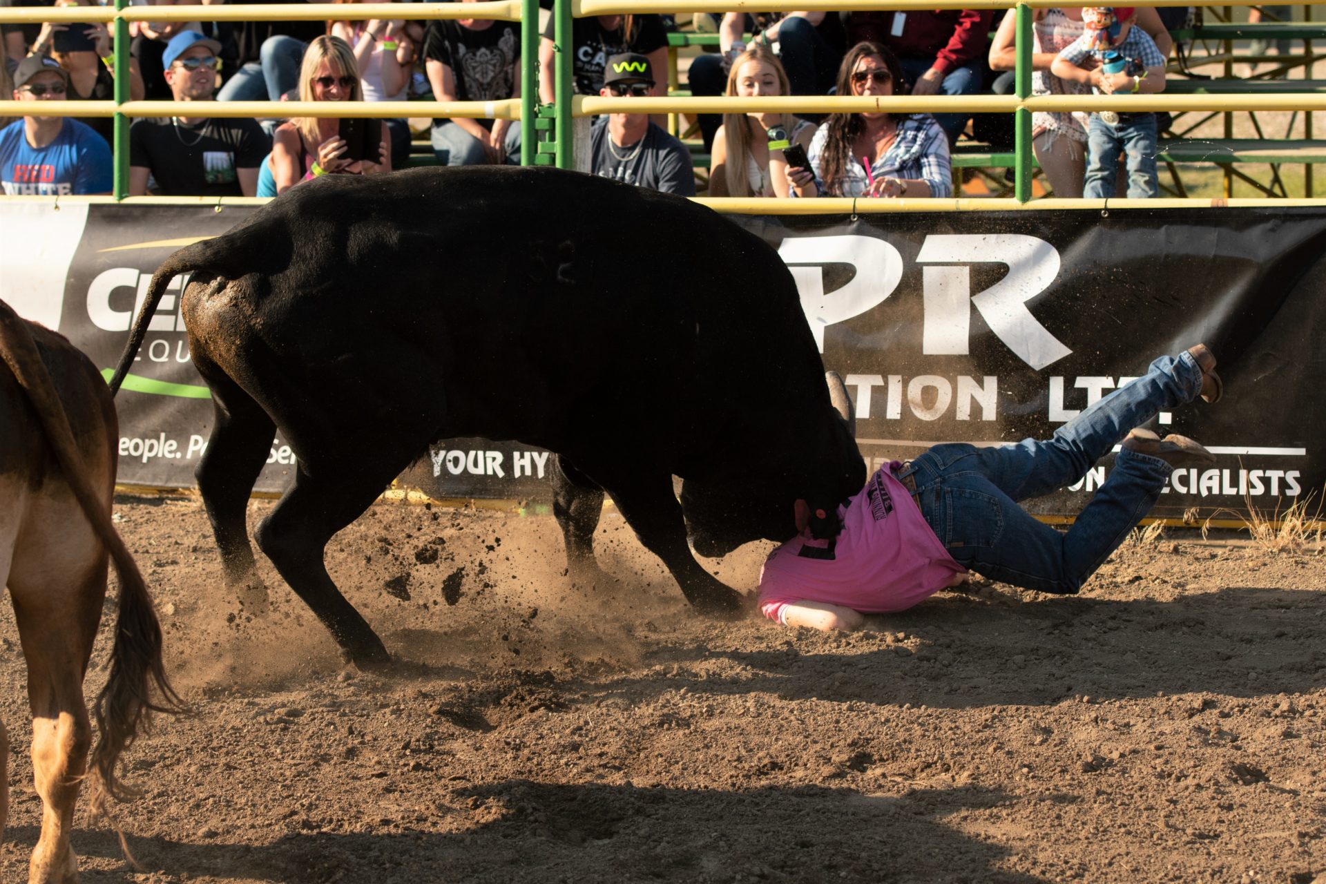 19 Small-Town Summer Rodeos in Alberta - Avenue Calgary