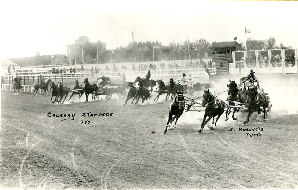 How Chuckwagon Racing Became a Sport - Avenue Calgary