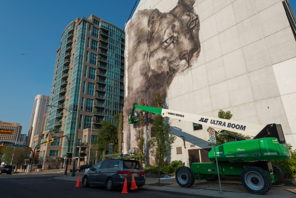 Your Ultimate Guide to the BUMP Murals - Avenue Calgary