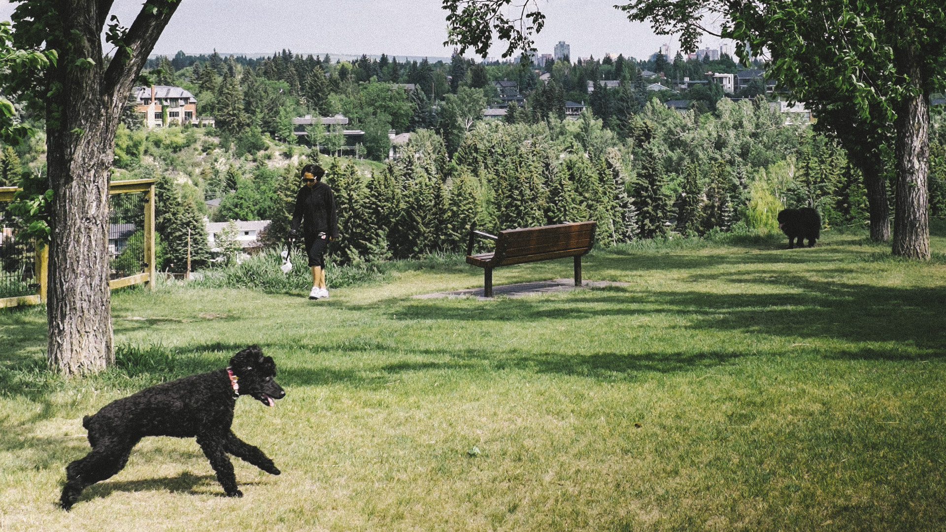 Calgary's Best Neighbourhoods Survey (Survey Closed) - Avenue Calgary Calgary's Best Neighbourhoods Survey (Survey Closed) - Avenue Calgary