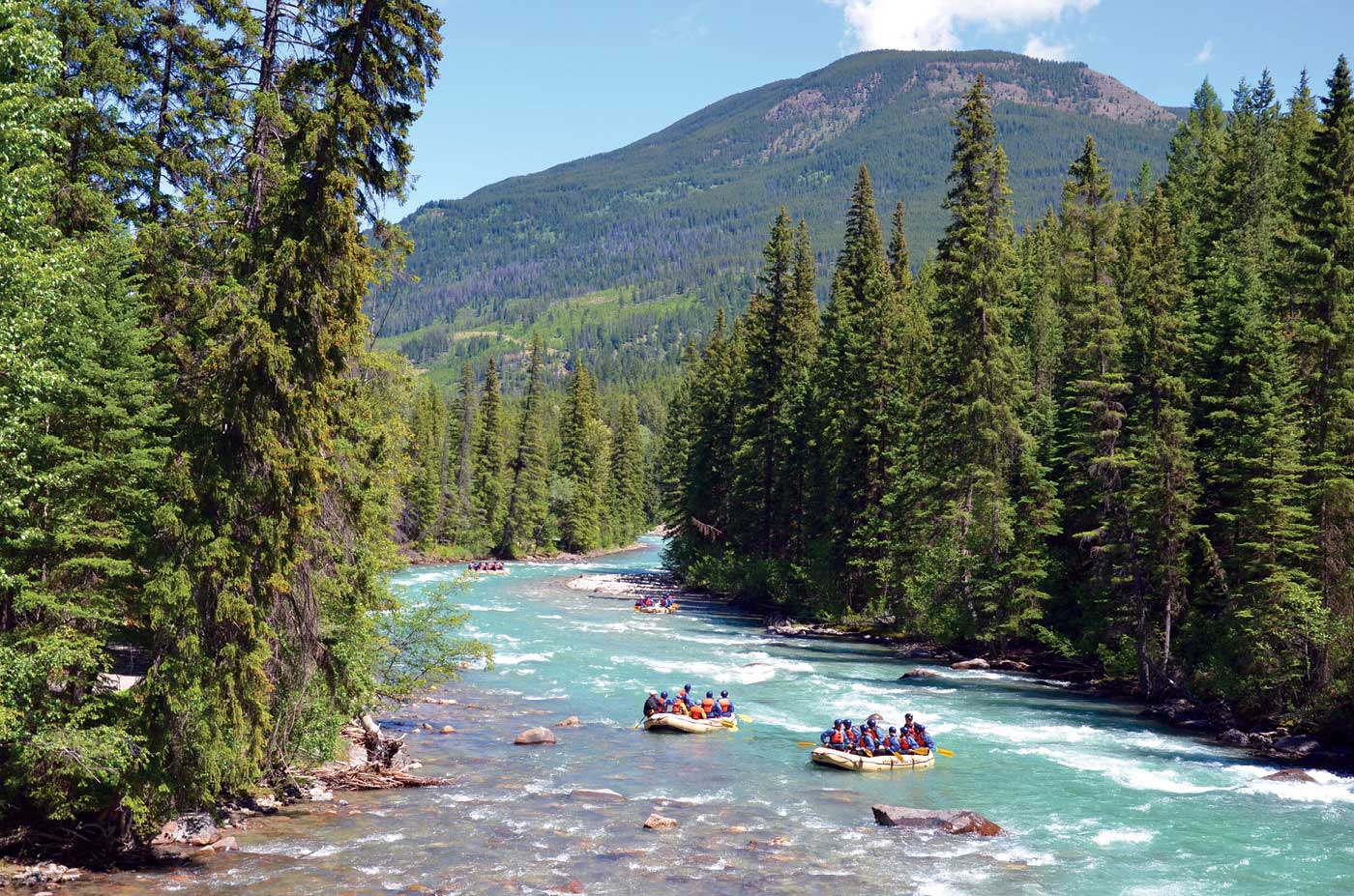 Why You Should Go Rafting on Toby Creek at Panorama - Avenue Calgary