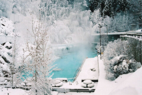 Home - Avenue Calgary