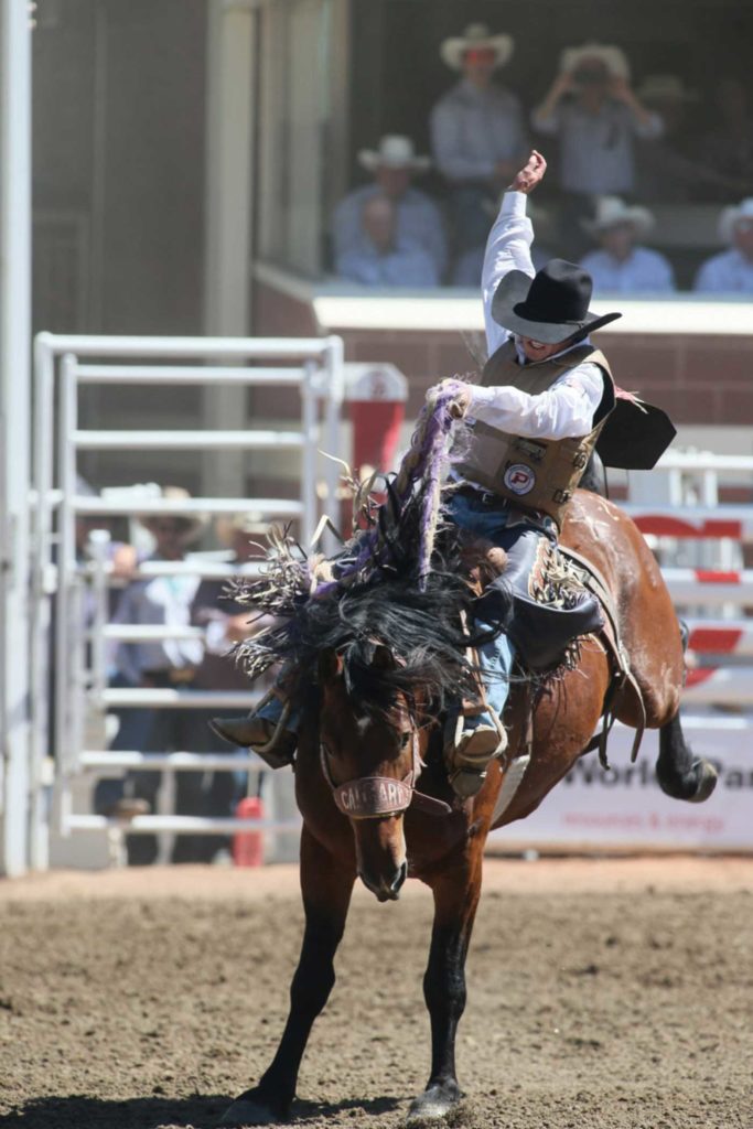 30 Things to Do During the 2019 Calgary Stampede - Avenue Calgary