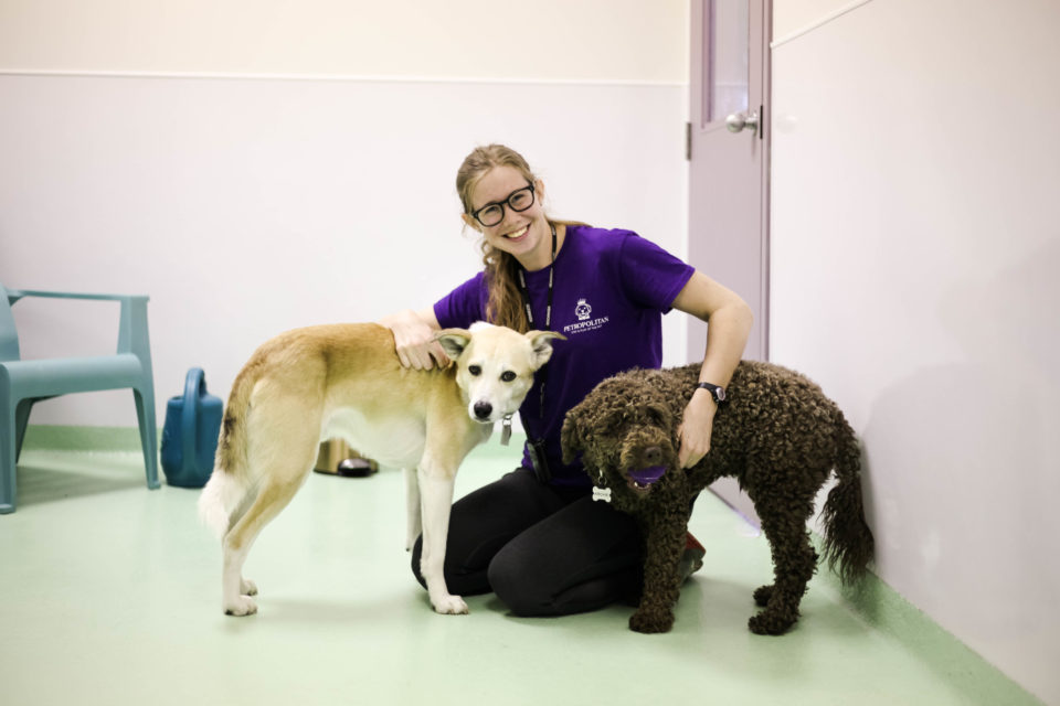 Inside The Petropolitan in Downtown Calgary - Avenue Calgary