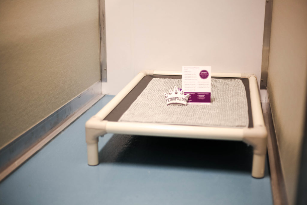 Inside The Petropolitan in Downtown Calgary - Avenue Calgary