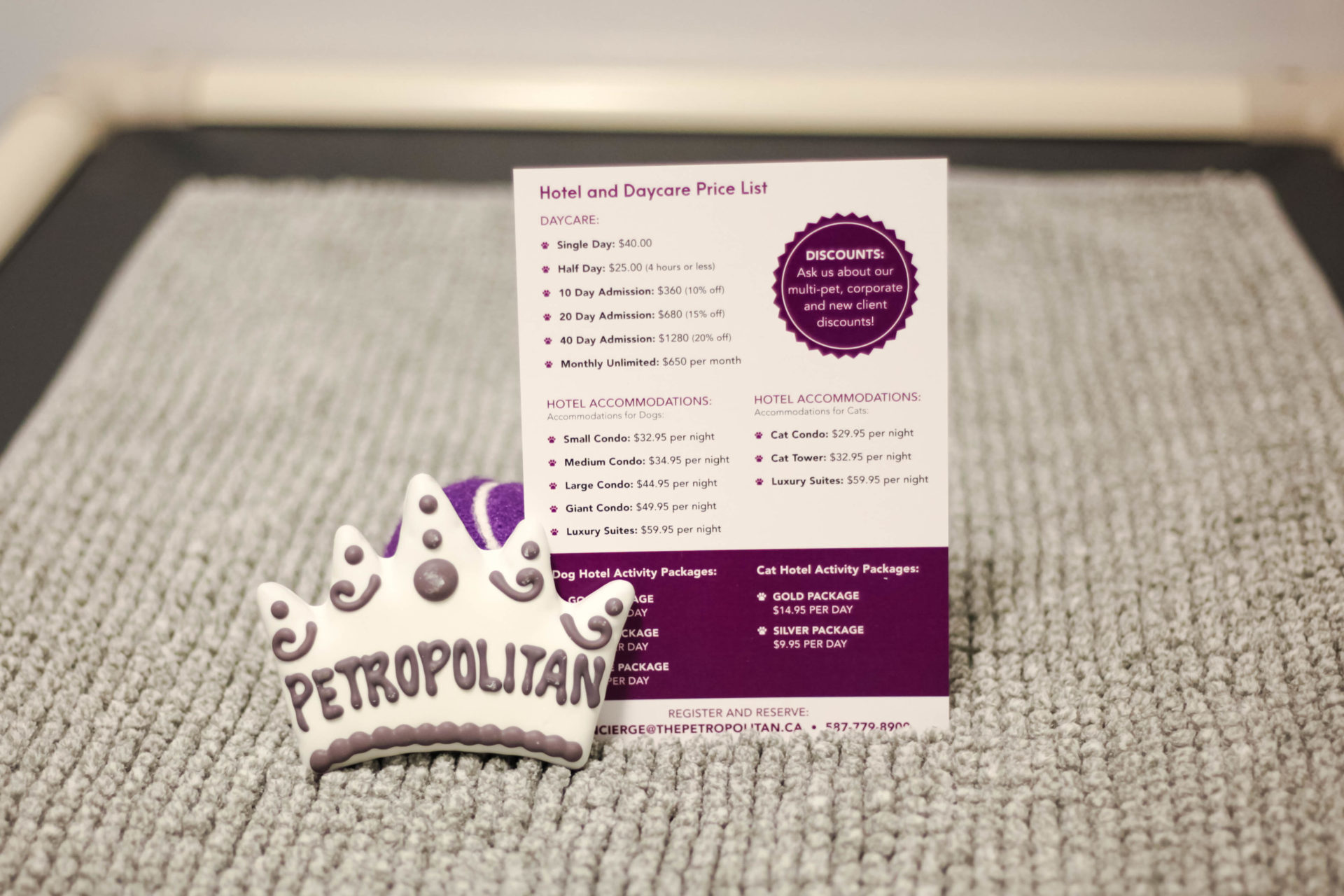 Inside The Petropolitan in Downtown Calgary - Avenue Calgary