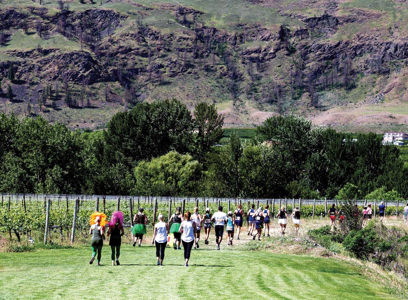 The Half Marathon That's as Much About the Wine as the Running - Avenue ...