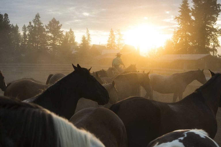 8 Guest Ranches in the Mountains Near Calgary - Avenue Calgary