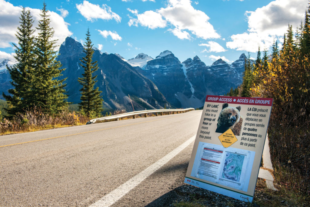 What to do When There’s a Bear Warning Sign at the Start of Your Hiking ...