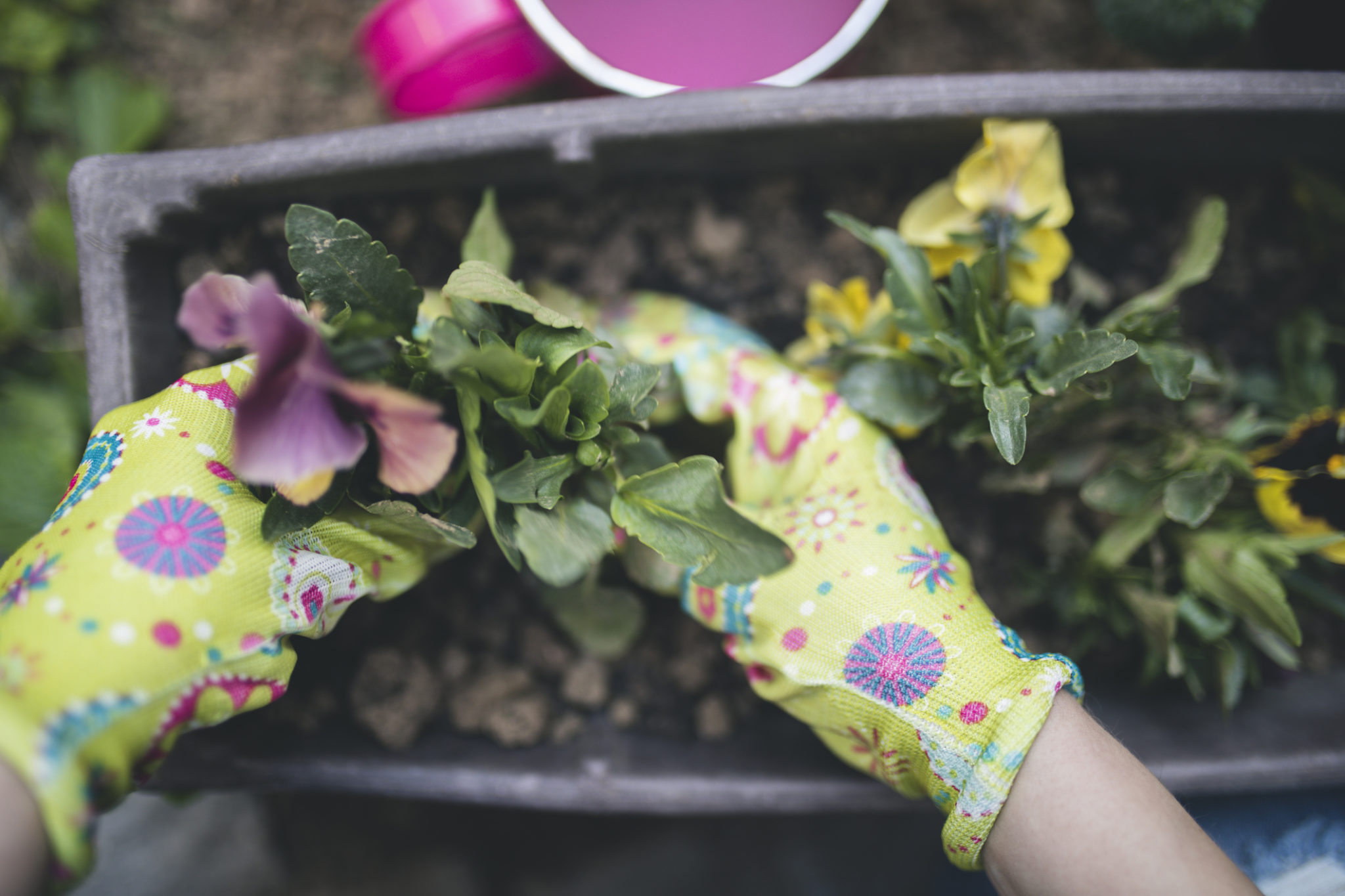 How to Give Your Flower Pots a Little TLC at the End of the Season ...