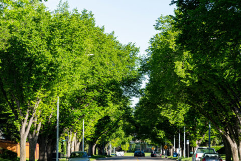 Calgary's Best Neighbourhoods 2020: The Full List - Avenue Calgary