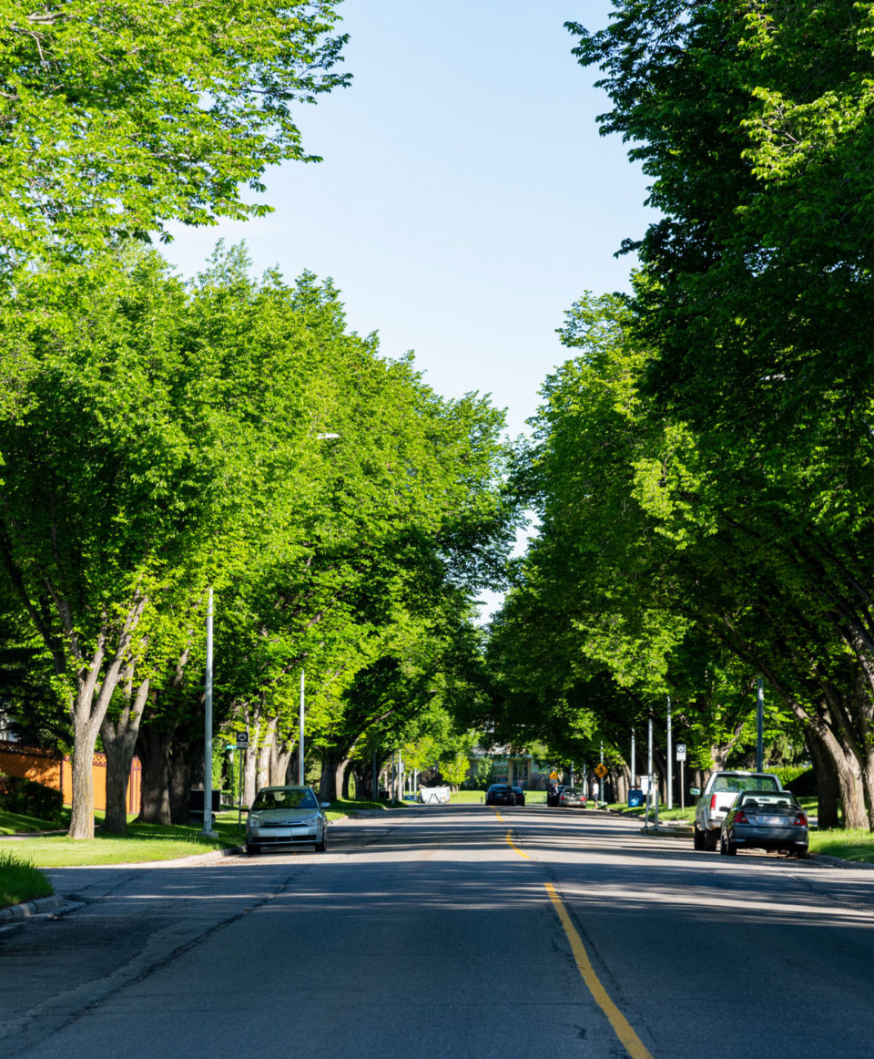 Calgary's Best Neighbourhoods 2020 - Avenue Calgary Calgary's Best Neighbourhoods 2020 - Avenue Calgary