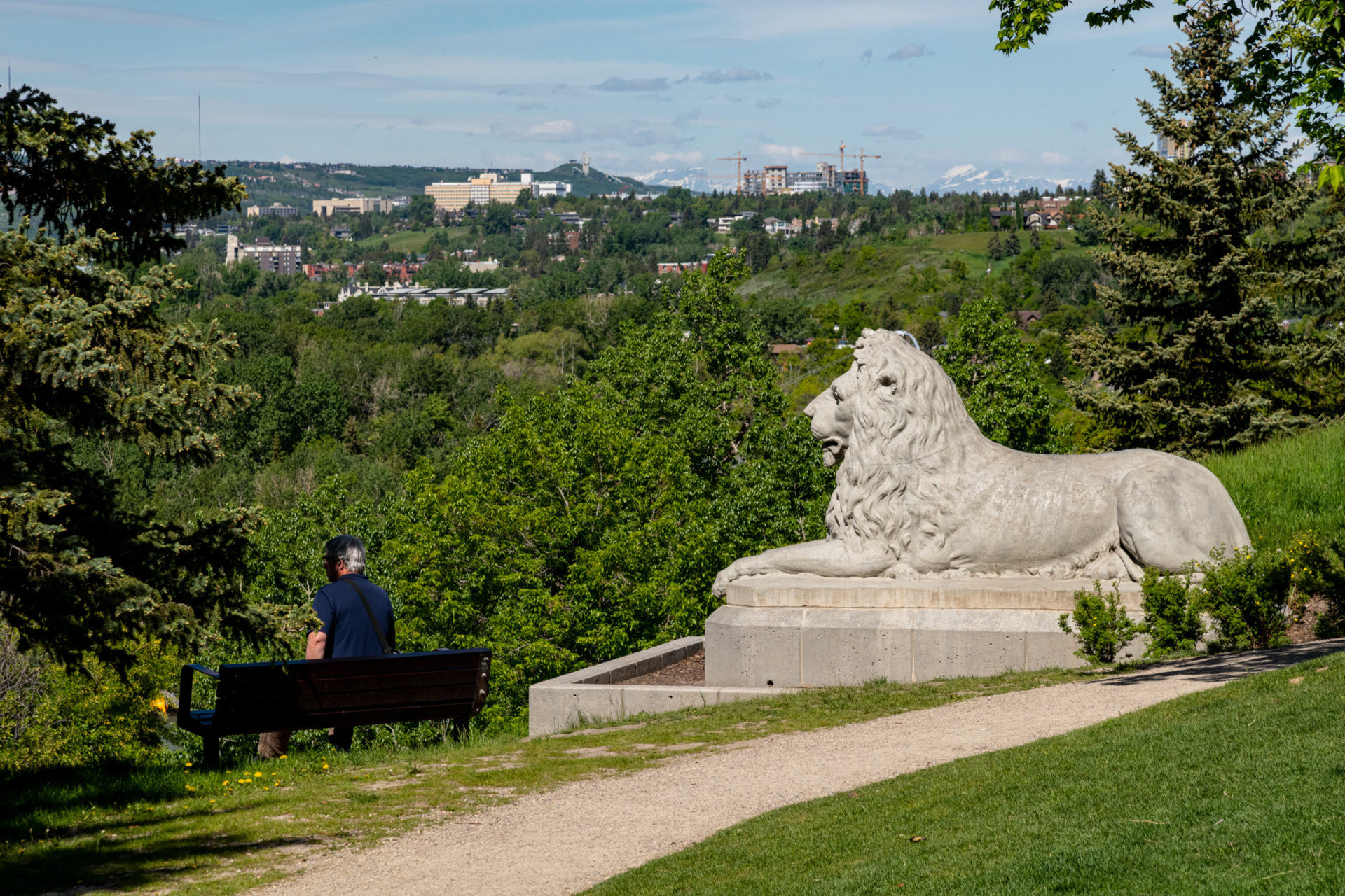Top 5 Neighbourhoods in Calgary - Avenue Calgary