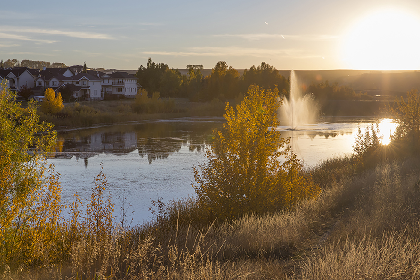Live Close to it all in Crestmont West - Avenue Calgary