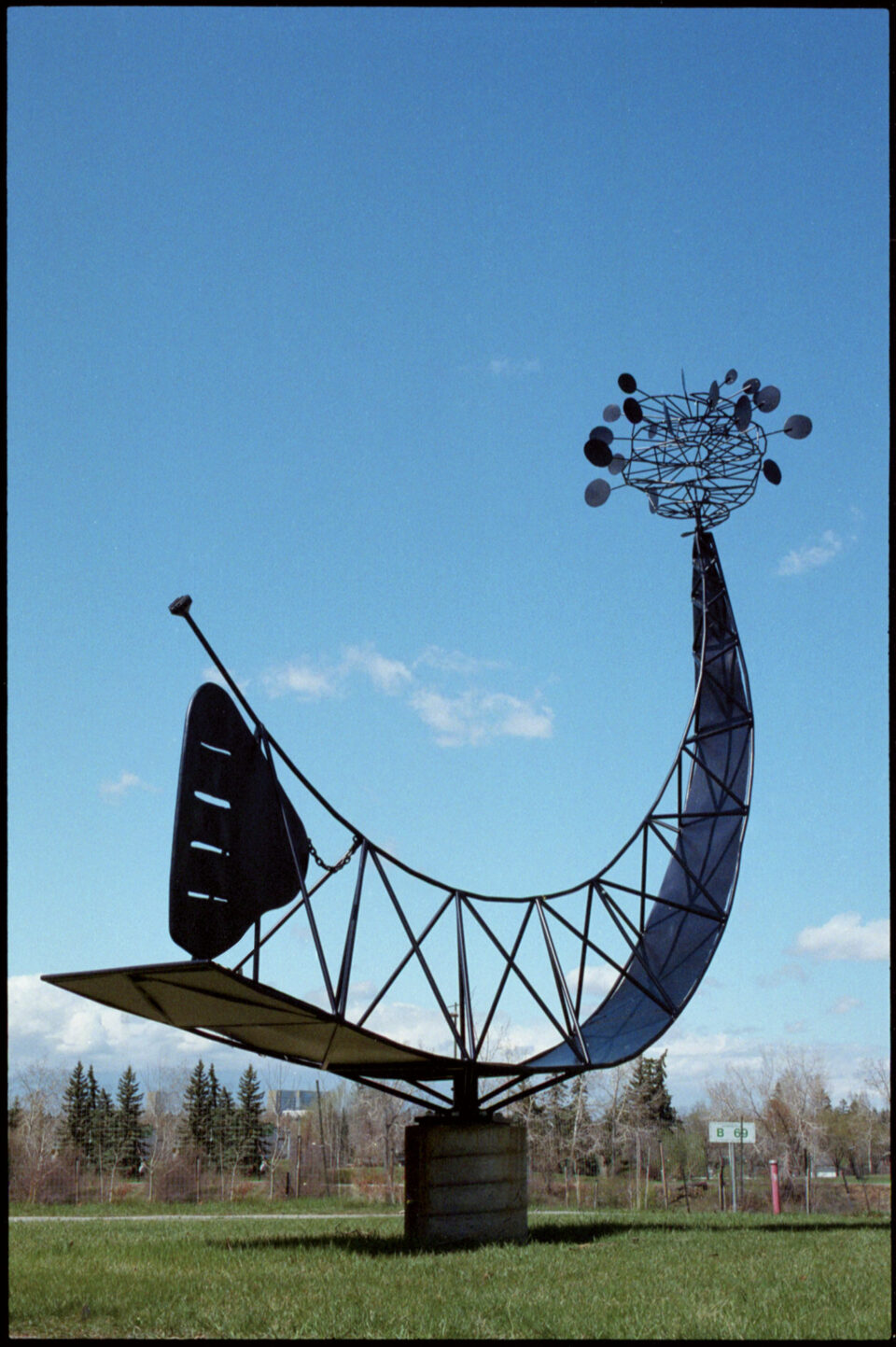Work of Art: Comet by Kathryn Fodchuk Dobbin - Avenue Calgary