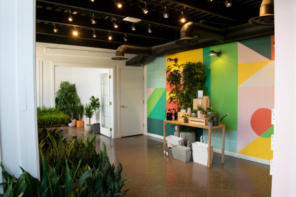 Inside Plant Plant, a New Plant Destination Near Inglewood - Avenue Calgary