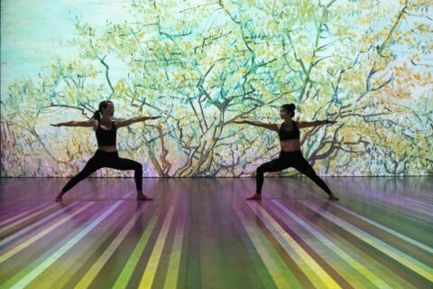 Things to Do in Calgary During the September Long Weekend - Avenue Calgary