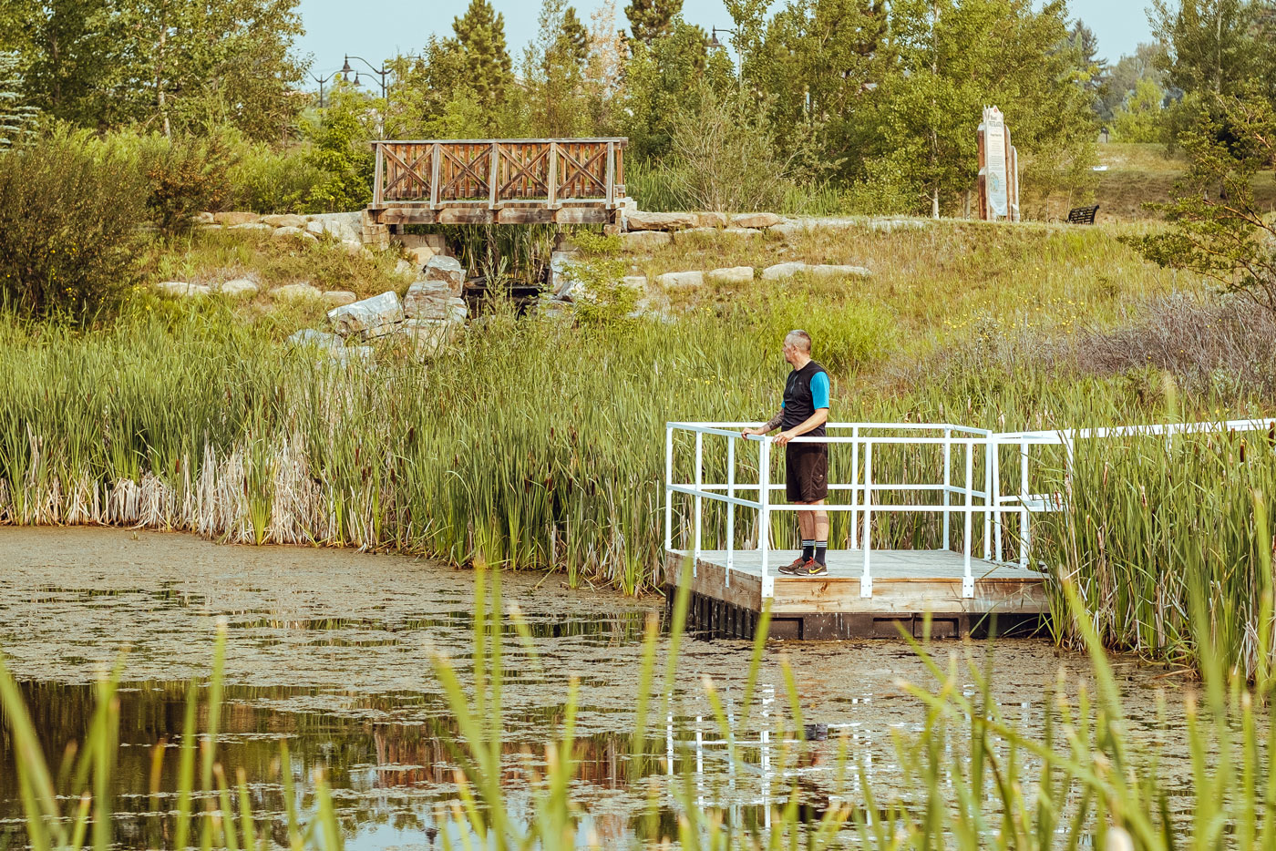 Why the Heritage Park Bissett Wetlands are an Urban Wilderness Gem ...