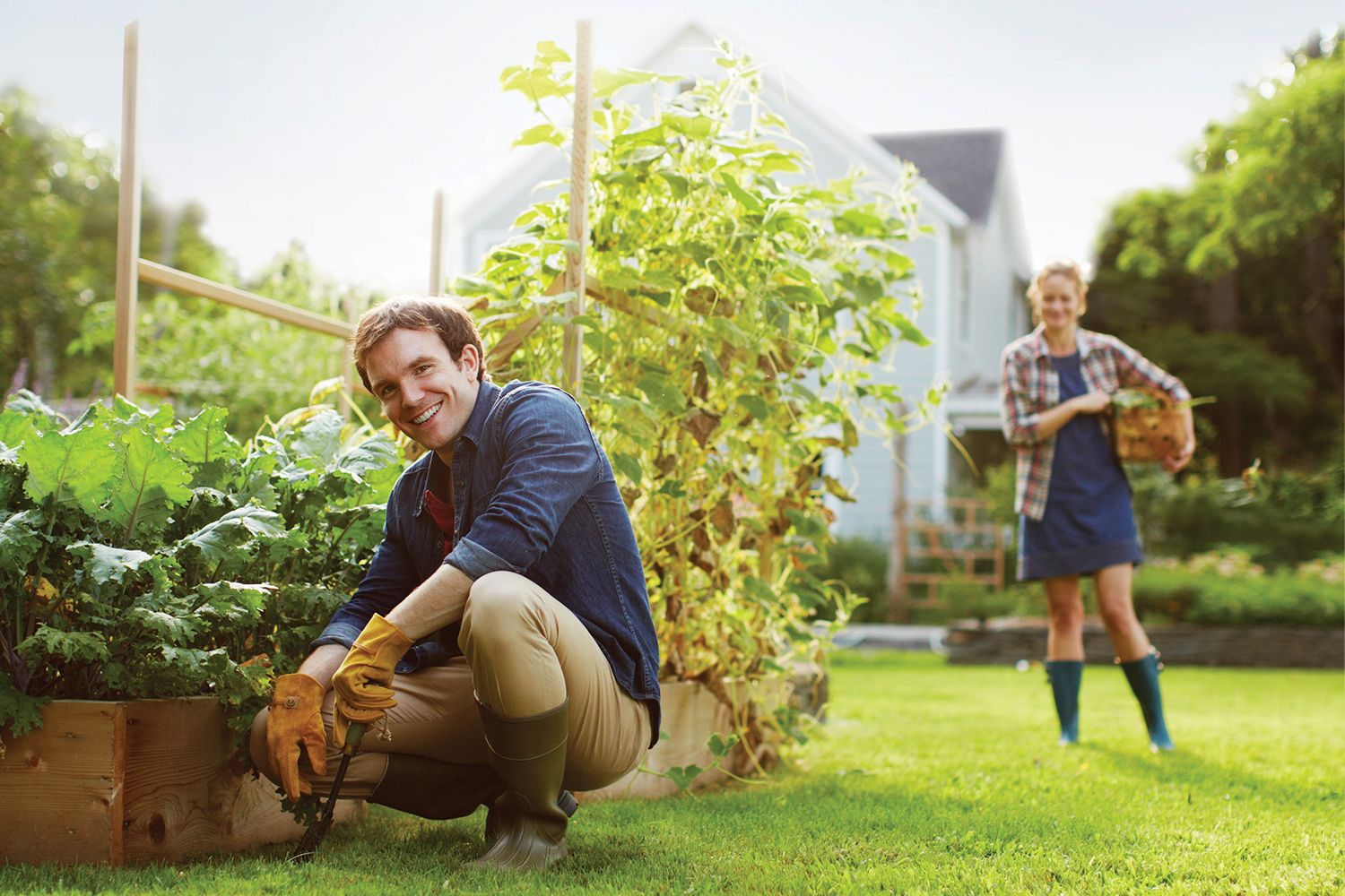 Plant Your Roots in Rangeview, Calgary’s First Garden-to-Table ...