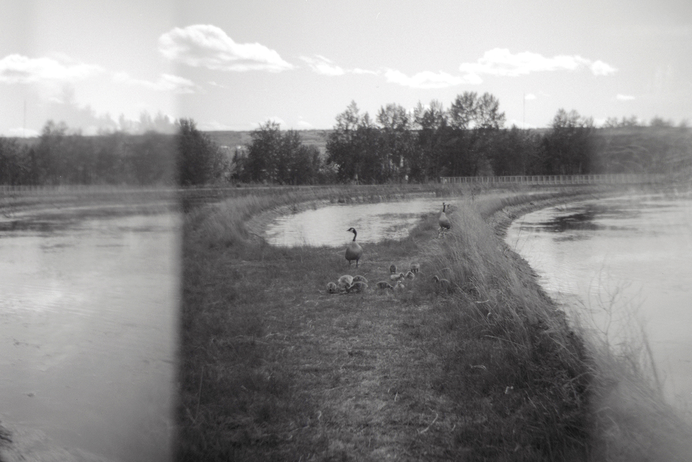 How the Bow and Elbow Rivers Inspire Calgary Artists - Avenue Calgary