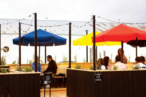 Home - Avenue Calgary