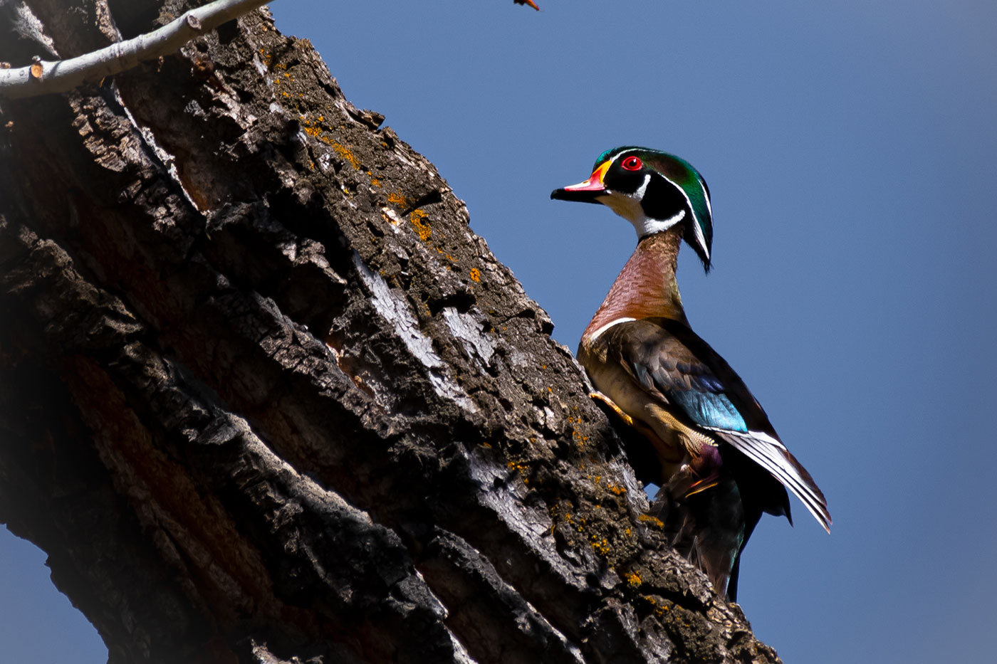 10 Things to Do in Calgary During the September Long Weekend - Avenue ...