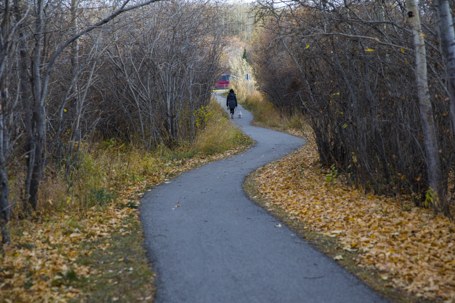 27 Brand New Lots Just Released in Crestmont View - Avenue Calgary